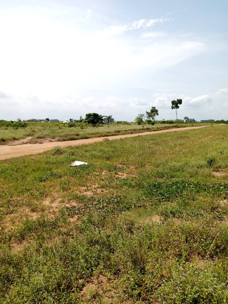 terrains en vente à songon | BazarAfrique Côte d’Ivoire