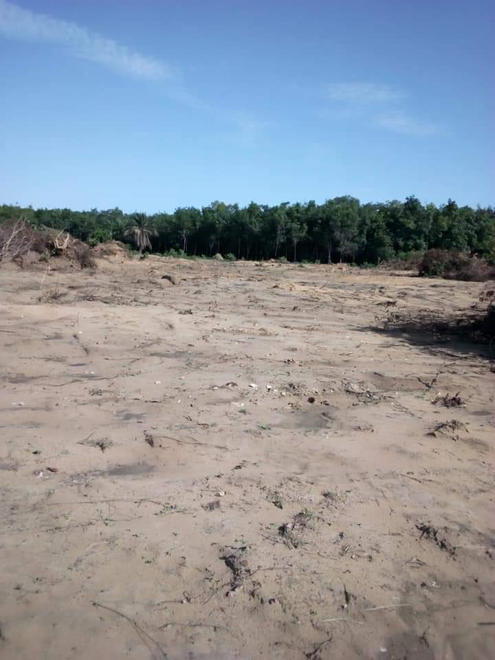 Vente de terrain à songon baie des milliardaires | BazarAfrique Côte d ...