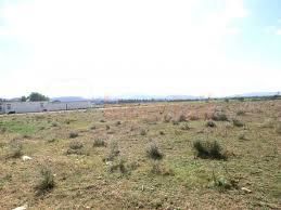 Terrain 100 Hectares à Songon | BazarAfrique Côte d’Ivoire