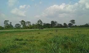 Terrain 100 Hectares à Songon | BazarAfrique Côte d’Ivoire