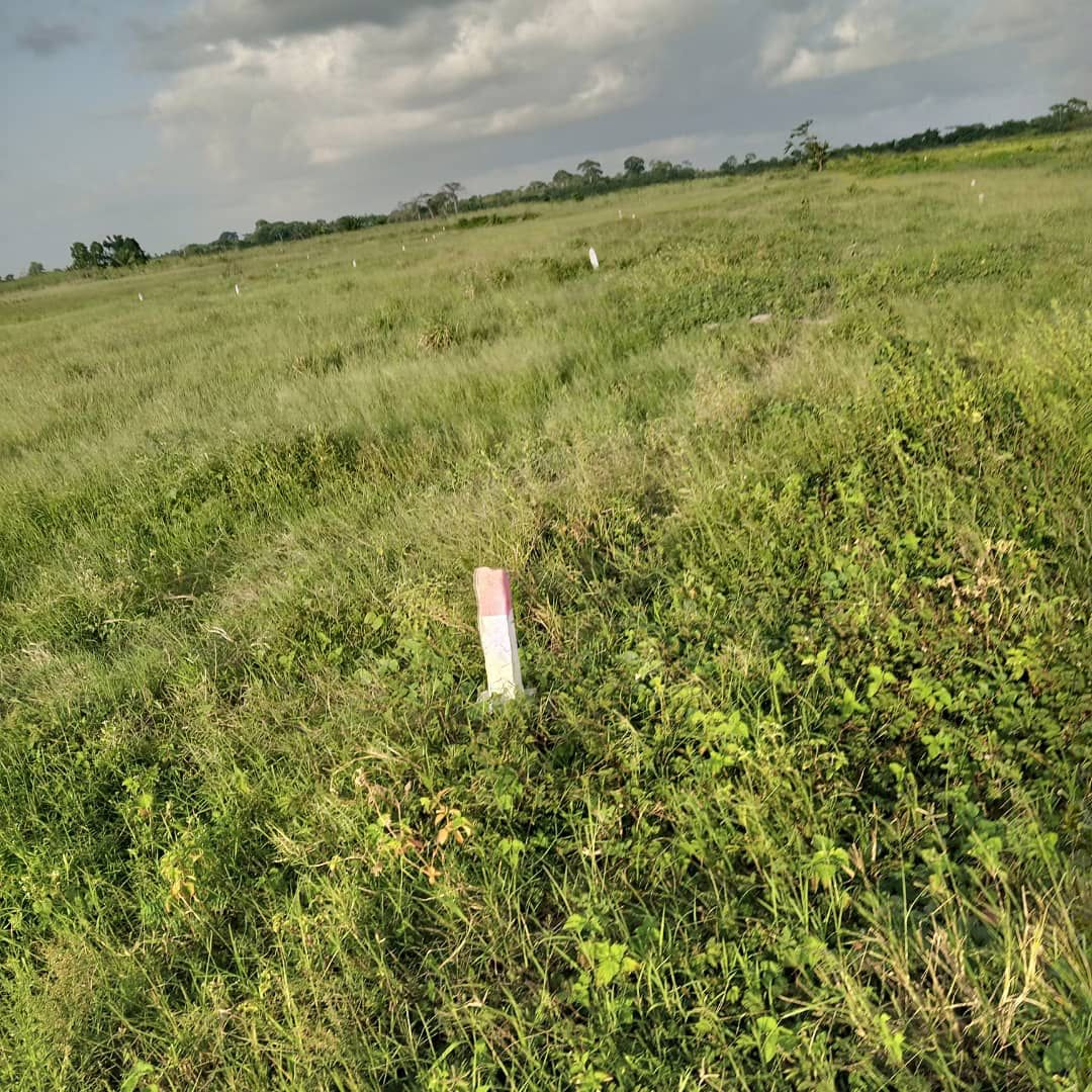 5 ha avec ACD bradé à grand Bassam juste après le pont de Moossou vers ...
