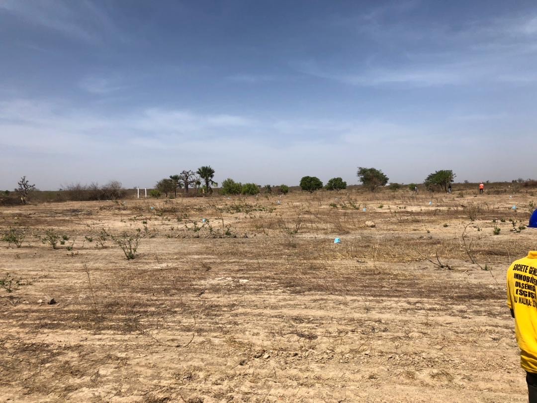 des terrains à vendre | BazarAfrique Senegal