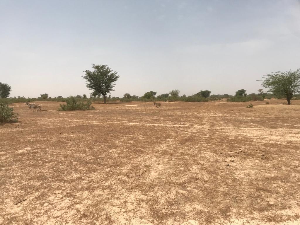 Terrain Agricole de 1,60 hectare à Fissel | BazarAfrique Sénégal