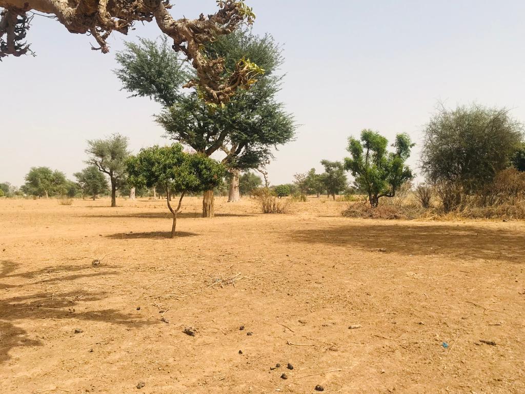TERRAIN A VENDRE | BazarAfrique Senegal